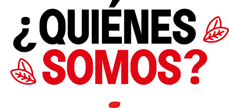 ¿Quiénes somos? – Saysa